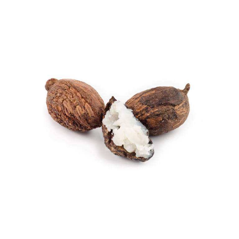 Butyrospermum Parkii (Shea) Butter – Mây Concept | Vietnam Brand